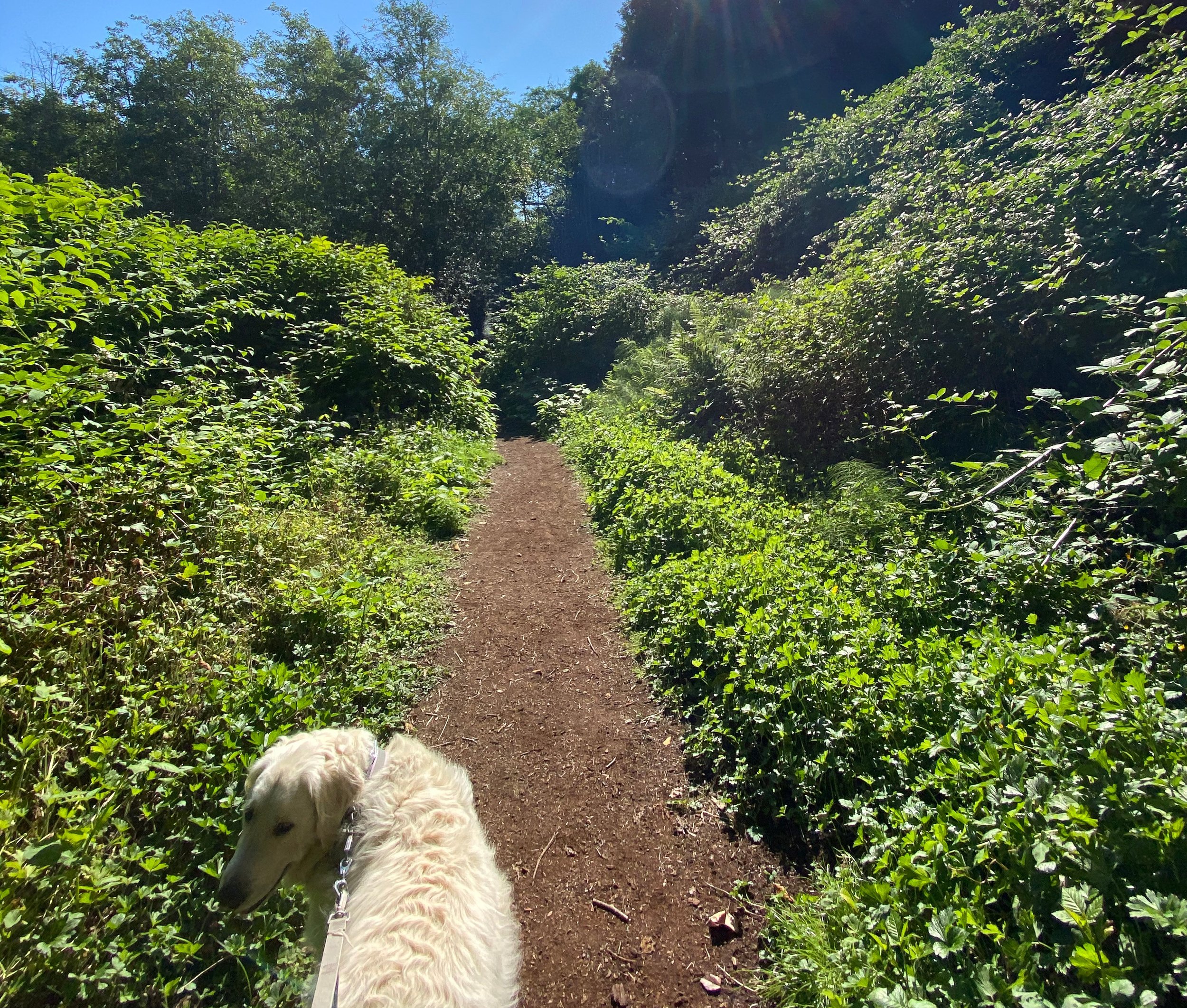 Multi-Task Method: Winning Combinations - Method Seattle