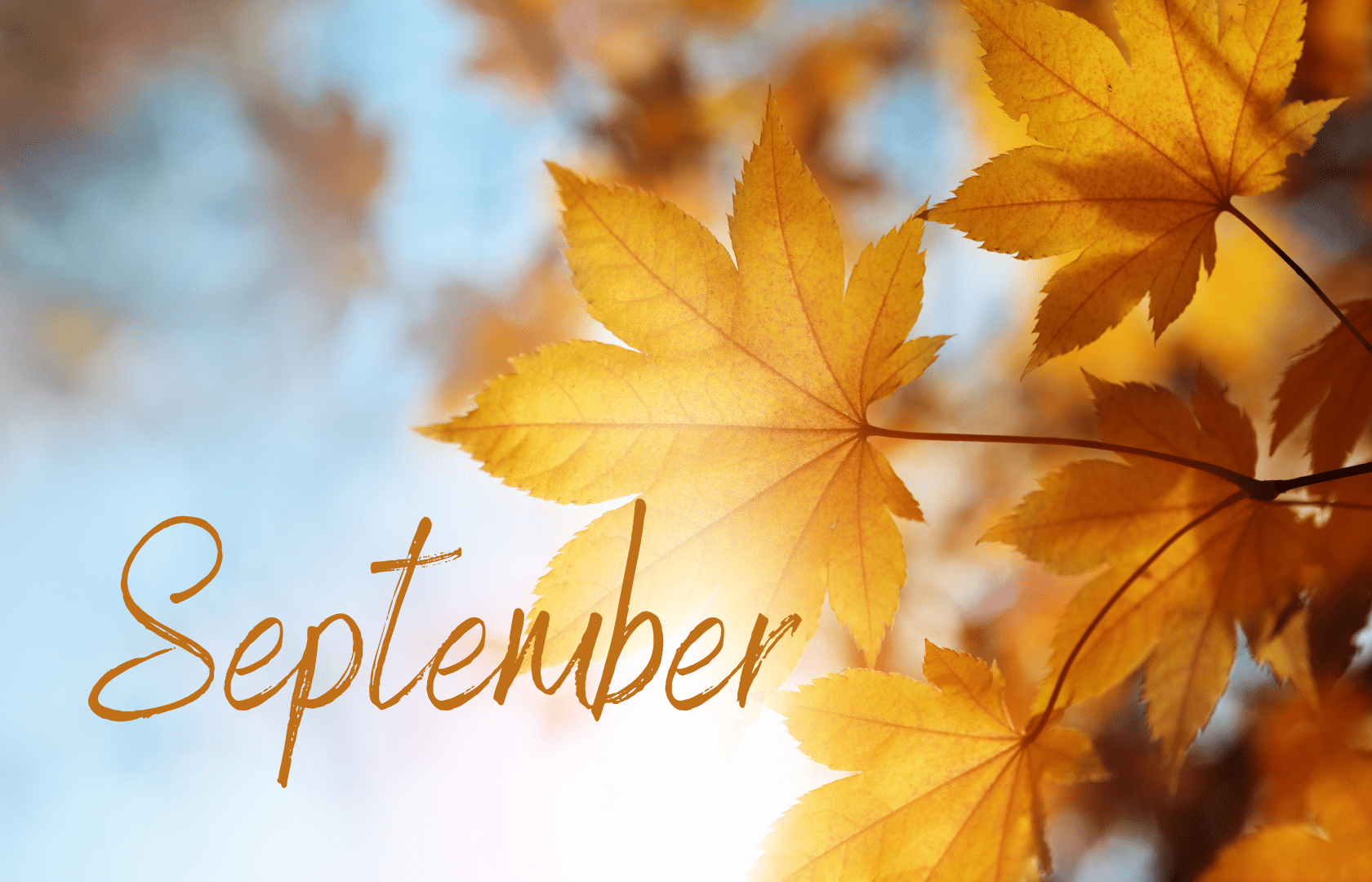 September Mixed Bag - Method Seattle