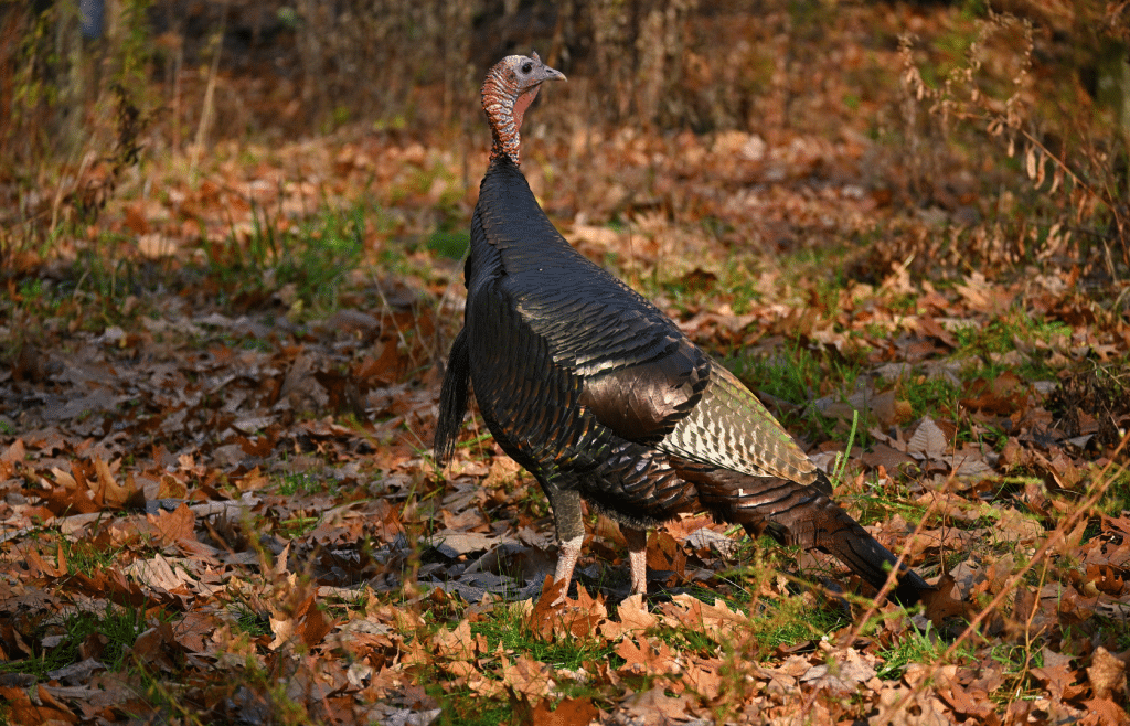 November Mixed Bag - Method Seattle