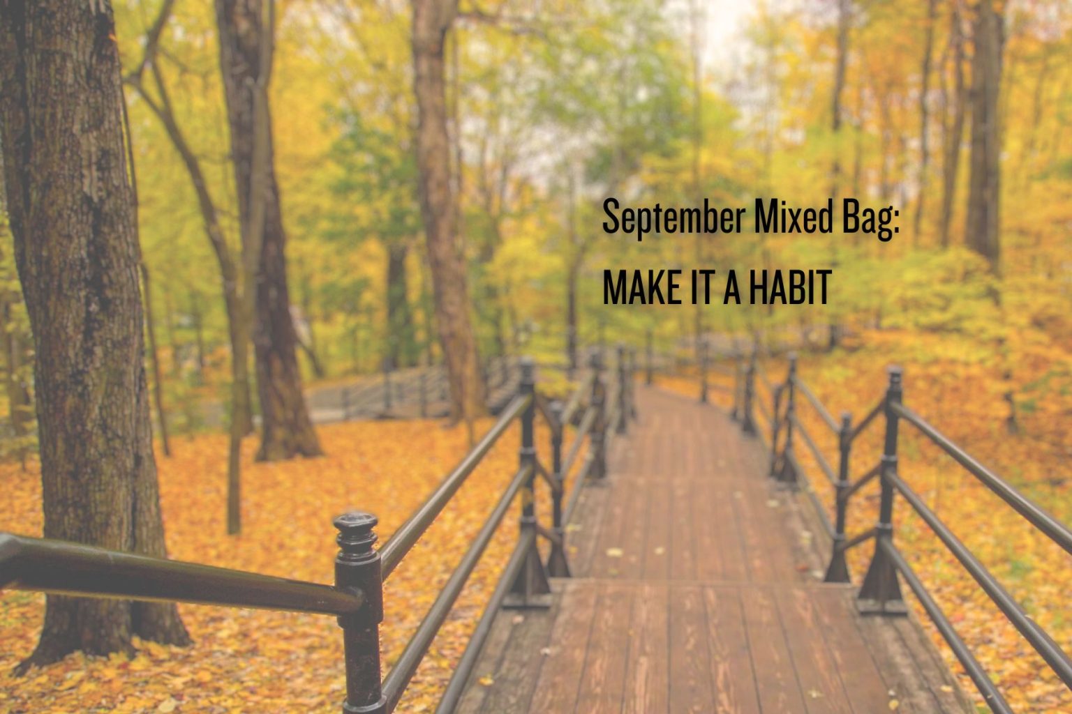 September Mixed Bag: Make It A Habit - Method Seattle