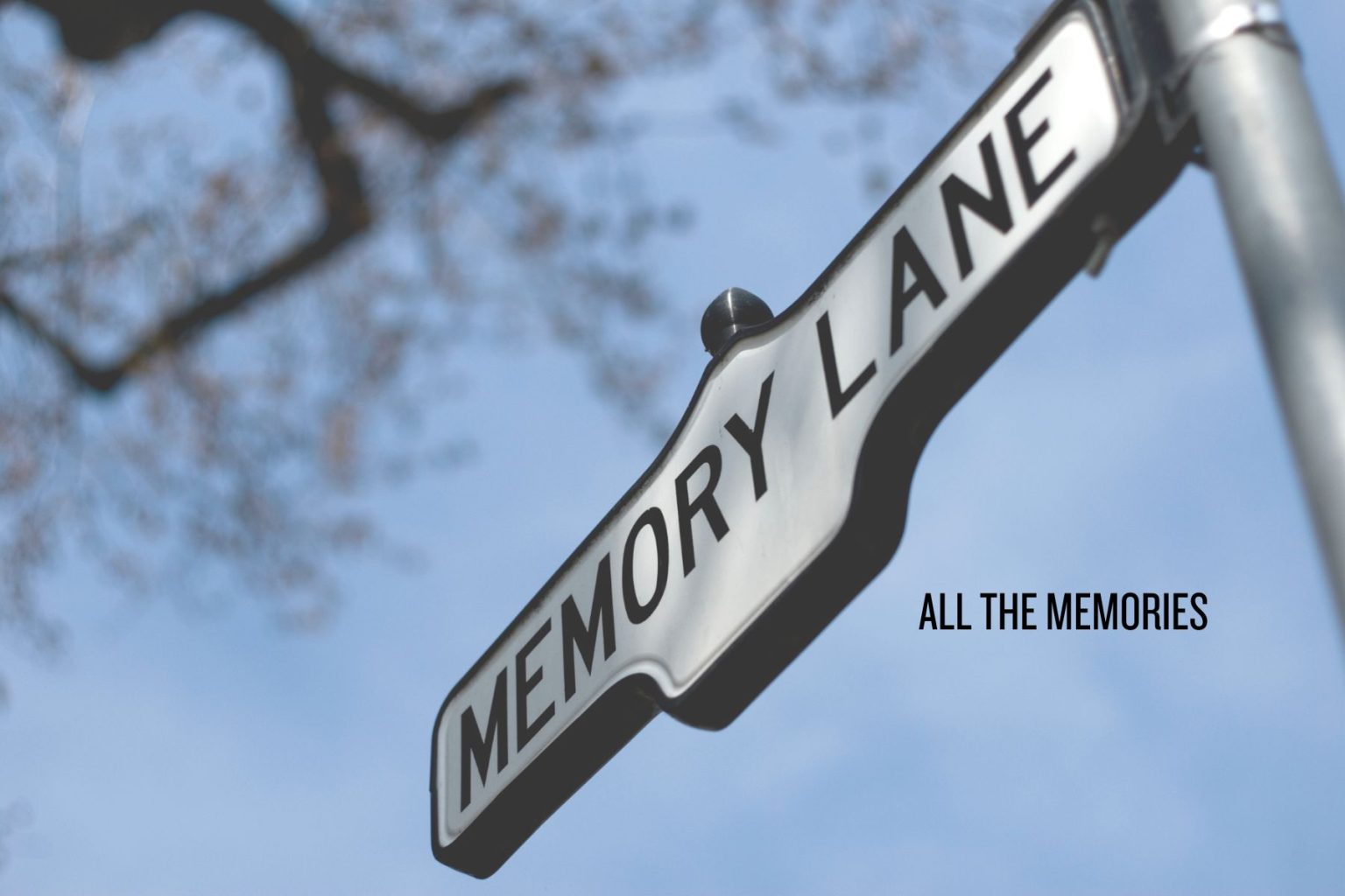 If you’re a Sentimental Saver, this is for you - Method Seattle