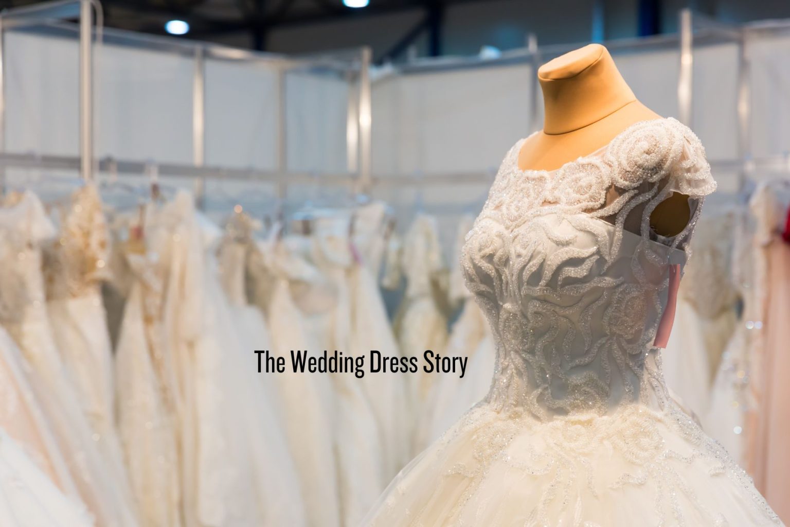 The Embarrassing Story of My Decluttered Wedding Dress - Method Seattle